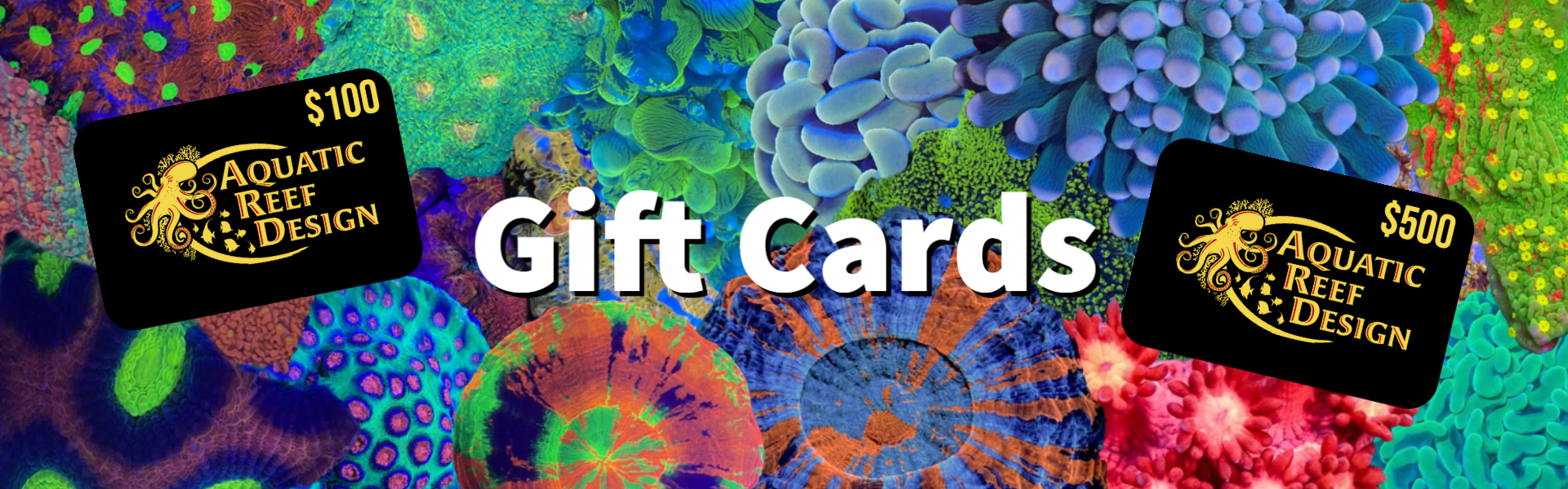 Gift Cards - Aquatic Reef Design Ocala