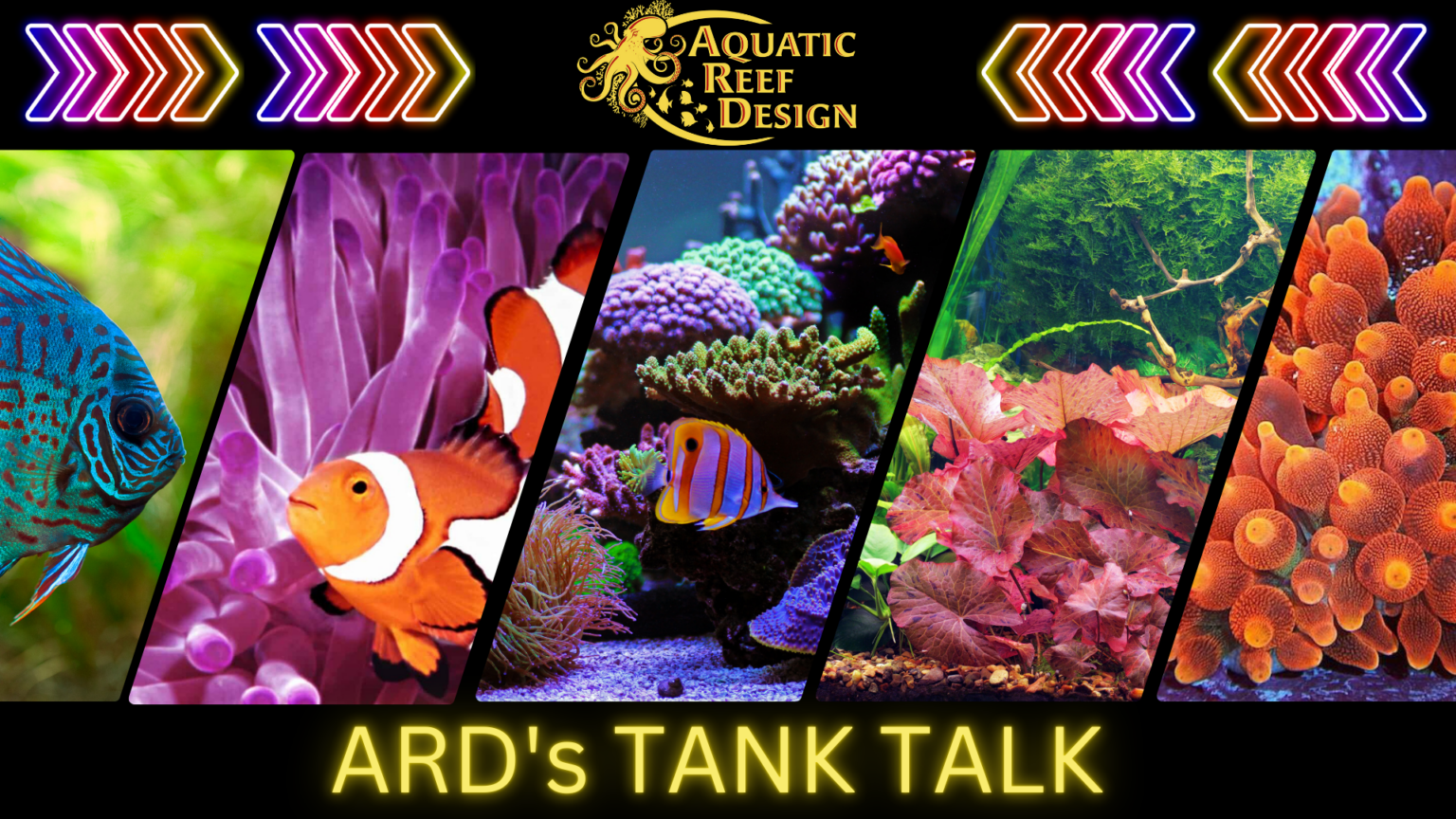 Vol. 1 Issue 1: AI Hydra vs AI Blade - Aquatic Reef Design Ocala