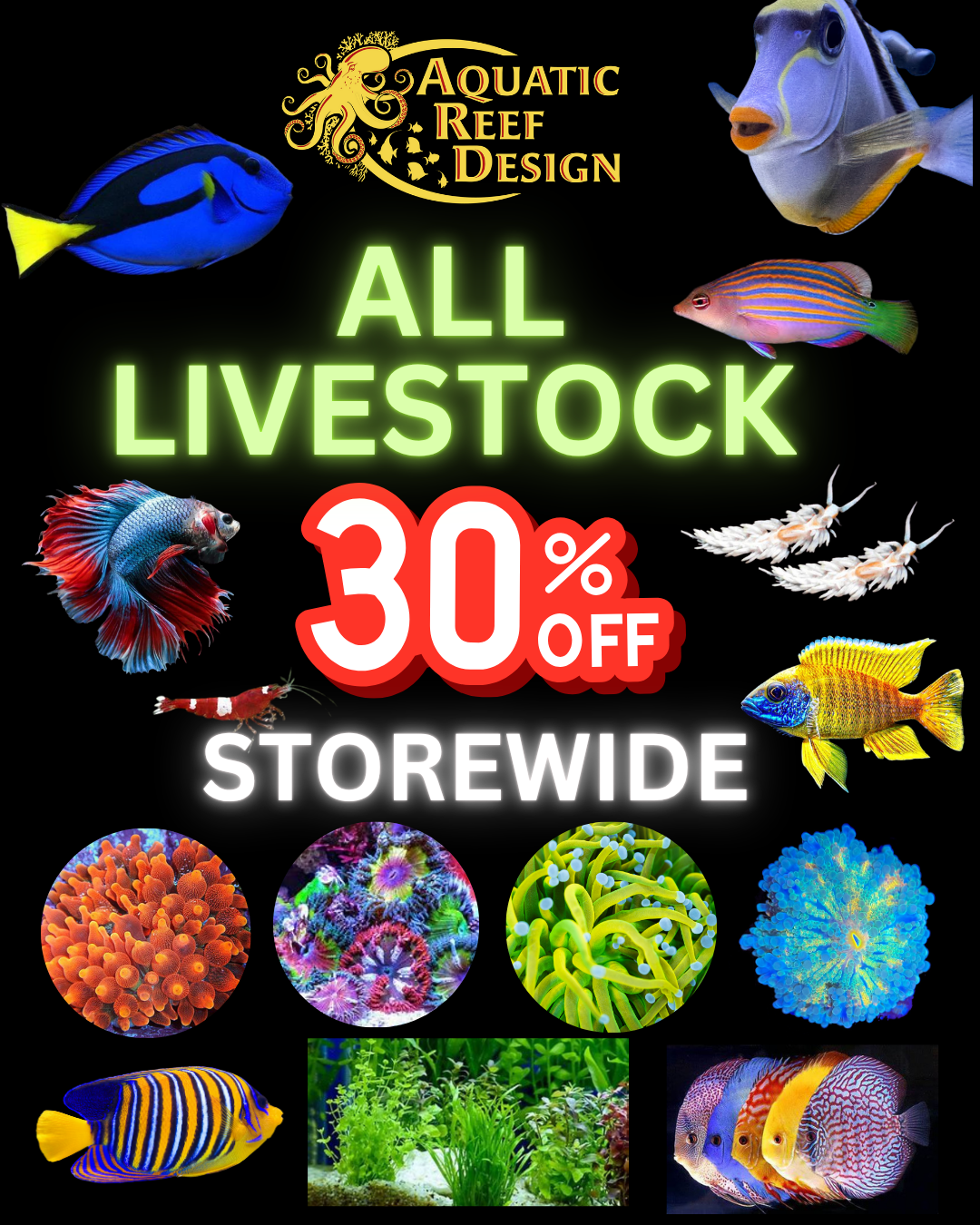 Back to School Sale - Aquatic Reef Design Ocala