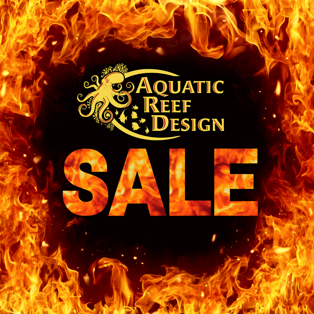 Things Are Heating Up Round Here! - Aquatic Reef Design Ocala